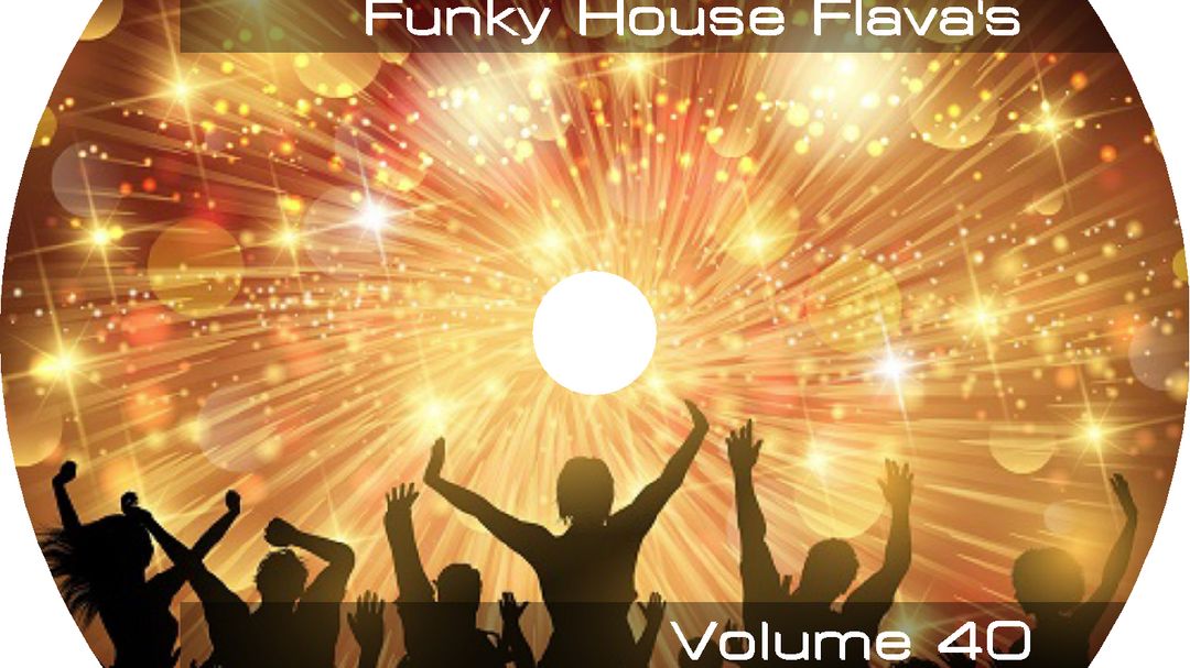 Funky House Flava's Volume 40 by DJ Brian S | Mixcloud