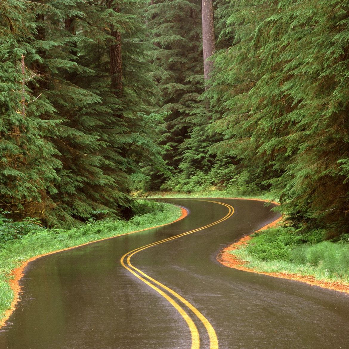 Gramatik & Friends by Lost In Transgression | Mixcloud