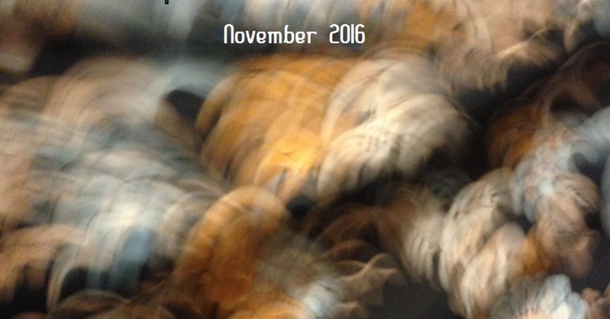 Capricious Autumn Wind by MEGUMILK | Mixcloud