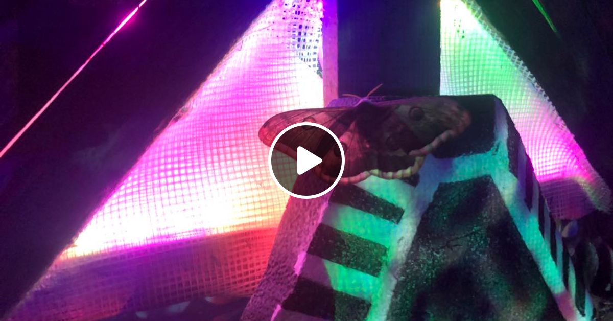 Mixed up Psychedlics by Dj Ketil m | Mixcloud