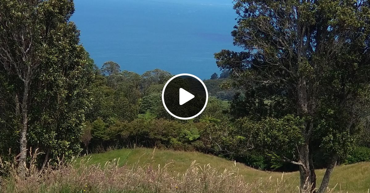 Boxing Day in the Bush, live at Abracadabra, Waihi NZ by Mike Boorman ...