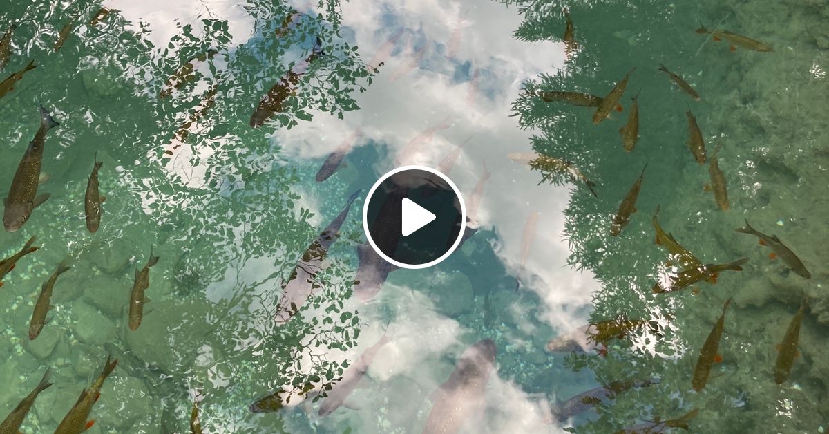 Abby Lee Tee – Blue Tapes & The Misty Part Of The Map by abby lee tee | Mixcloud