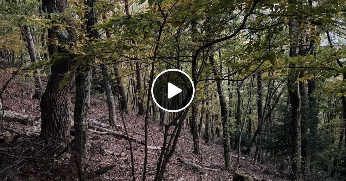 Hard Trance 、Hard Techno、Neo Rave、Hard Bounce - New Track Freestyle ...