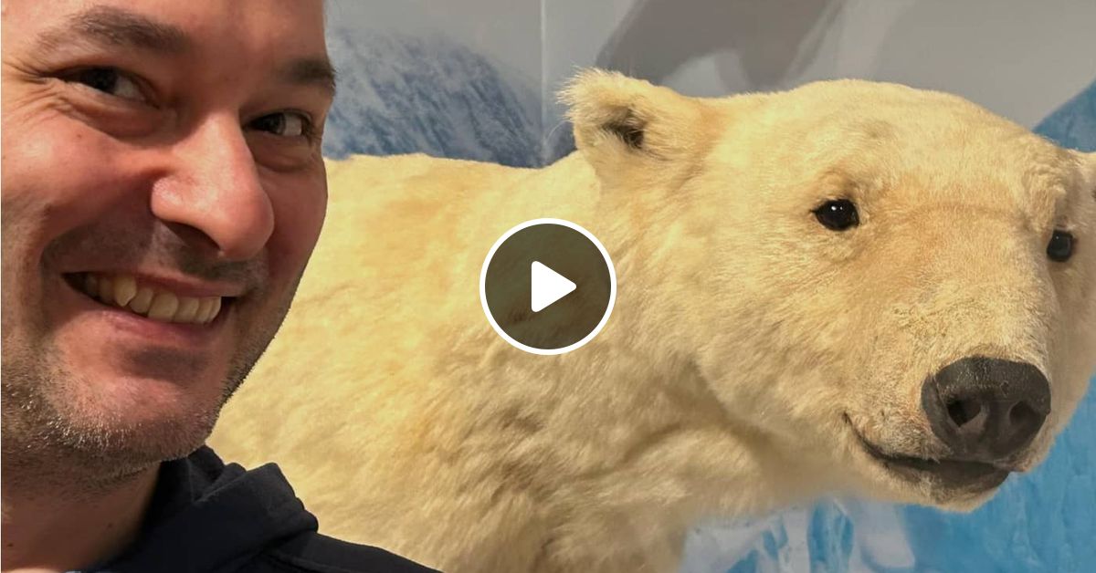 Memory Motel - Matt Rubba — 14 January 2025 by The Face Radio | Mixcloud