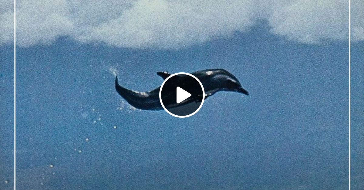 Methods Of Mellow - June 2023 by Balamii | Mixcloud