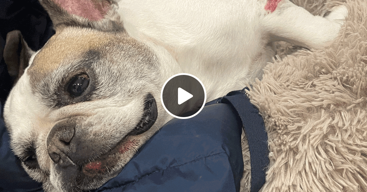 Drop Out - Richard Epps ~ 18.01.24 #live by Totally Wired Radio | Mixcloud