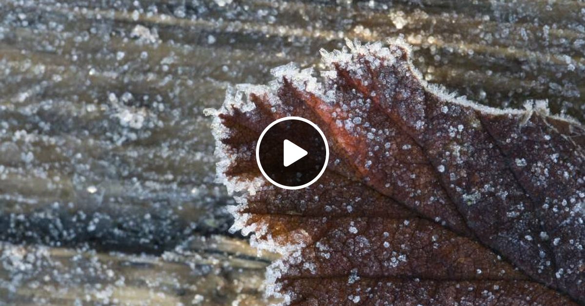 Dig It - Ryan Garret -Frost 2024_06_22 by mainFM | Mixcloud