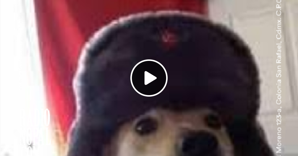 Defensa Personal #06: Memes para hacer la revolución by radionopal ...