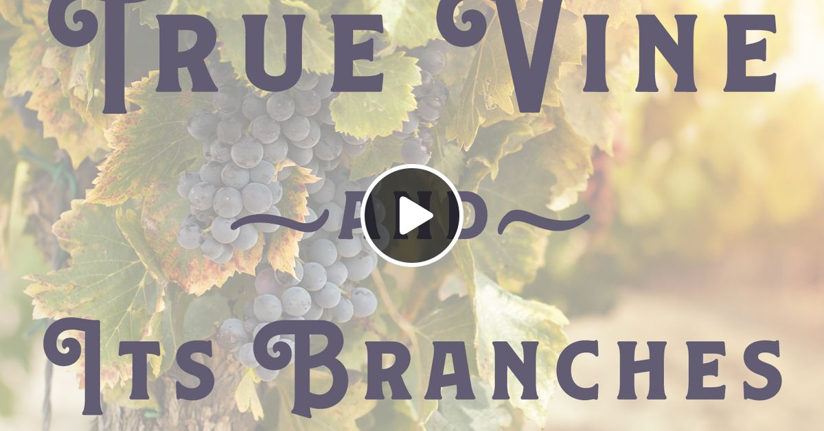 The True Vine and Its Branches by Akigawa Baptist Church | Mixcloud