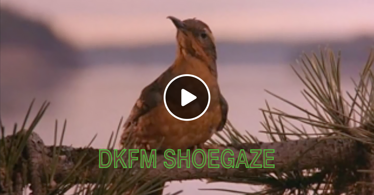 Top Shoegaze & Dream Pop Songs, October 2018 by DKFM Shoegaze Radio ...