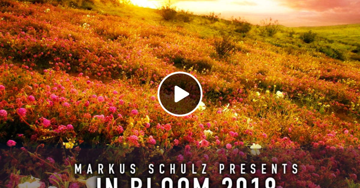 markus schulz mixcloud