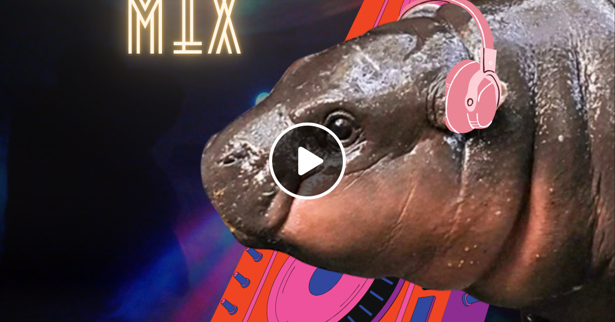 Moo Deng Mix by Lil Guillotine by Lil Guillotine | Mixcloud