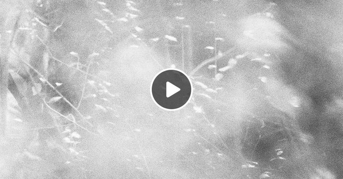 Wave Form w/ Aurélien Arbet & Pierre Rousseau - 16th November 2024 by Mixcloud NTS Radio | Mixcloud