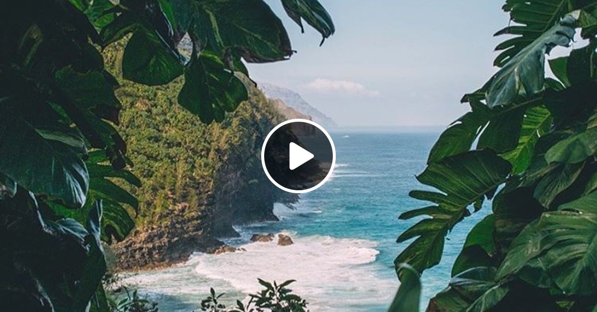 Wussah with The Monkey Brain Tonic - April 2020 by Balamii | Mixcloud