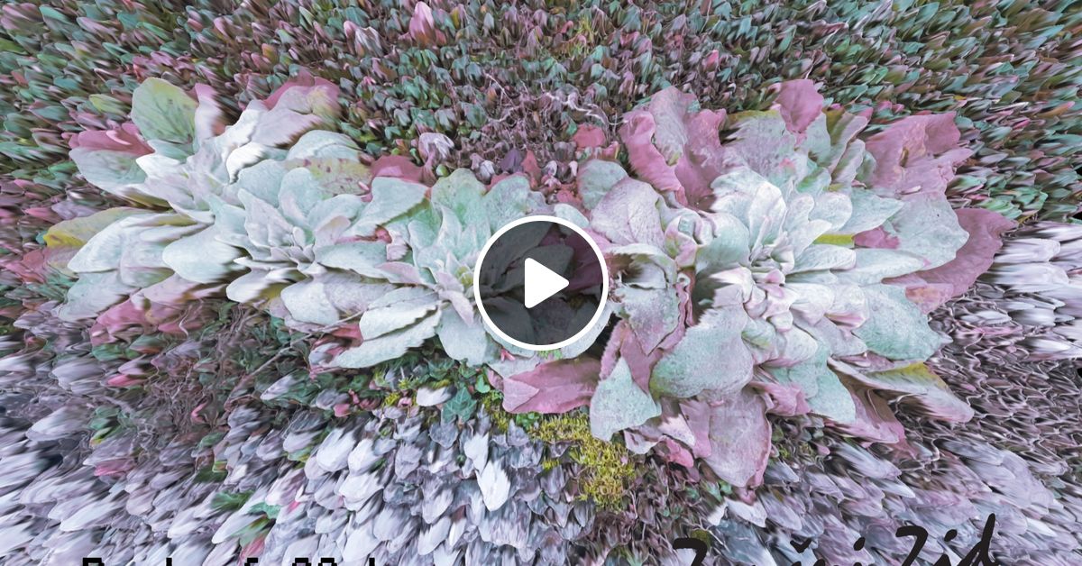 Best of 2022 by Zvučni Zid by Radio Student 100.5 MHz | Mixcloud