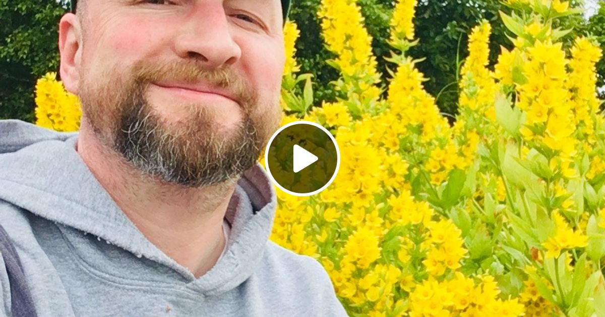 We Out Here x Clyde Built Radio: David Barbarossa // 25-07-2024 by ...