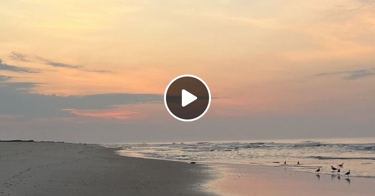 Jafairy oasis w/ jamesjamesjames & Goth Jafar - 11th December 2024 by ...