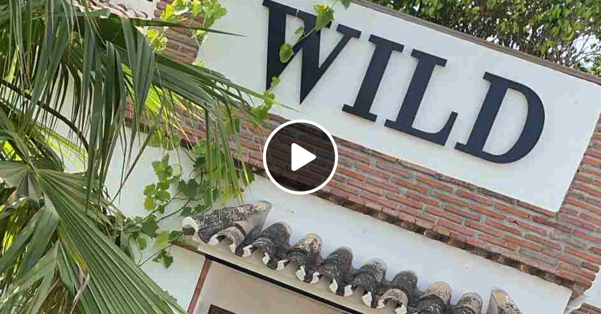 Gon' WILD @ WILD Cafe VIBIN' 432Hz 1st June 2024 by Heddi | Mixcloud