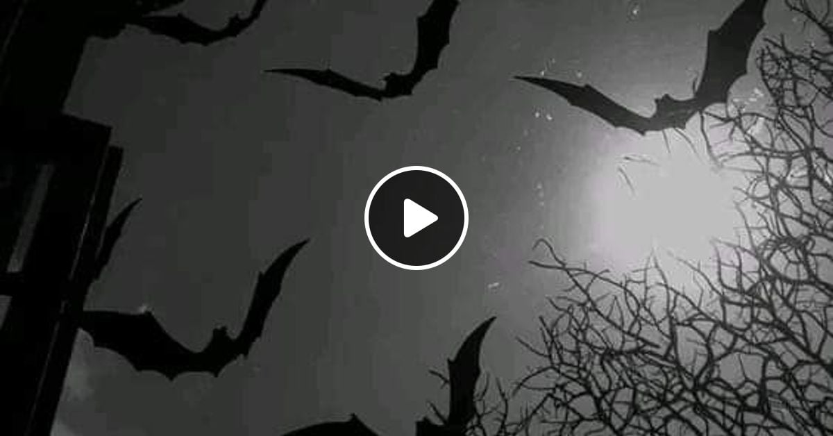 In The Heart Of Goth By Ensom Kråke | A Powerful And Melancholic ...