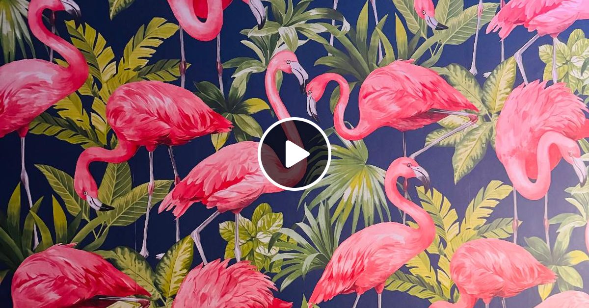Flamingo Lounge November 2024 by #4EBT2 Dean (Barney) Barnshaw | Mixcloud