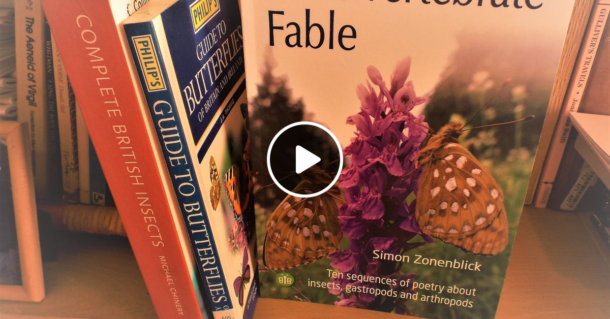 My Poem Weevil, from my collection An Invertebrate Fable by ...