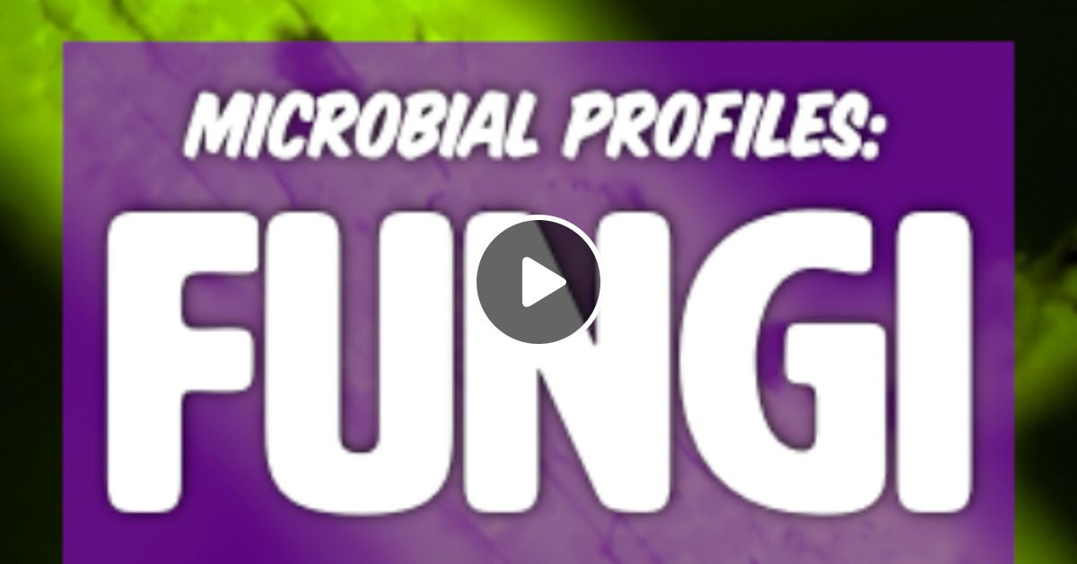 Microbial Profiles: FUNGI pt 1 with Matt Powers | Regenerative Soil ...