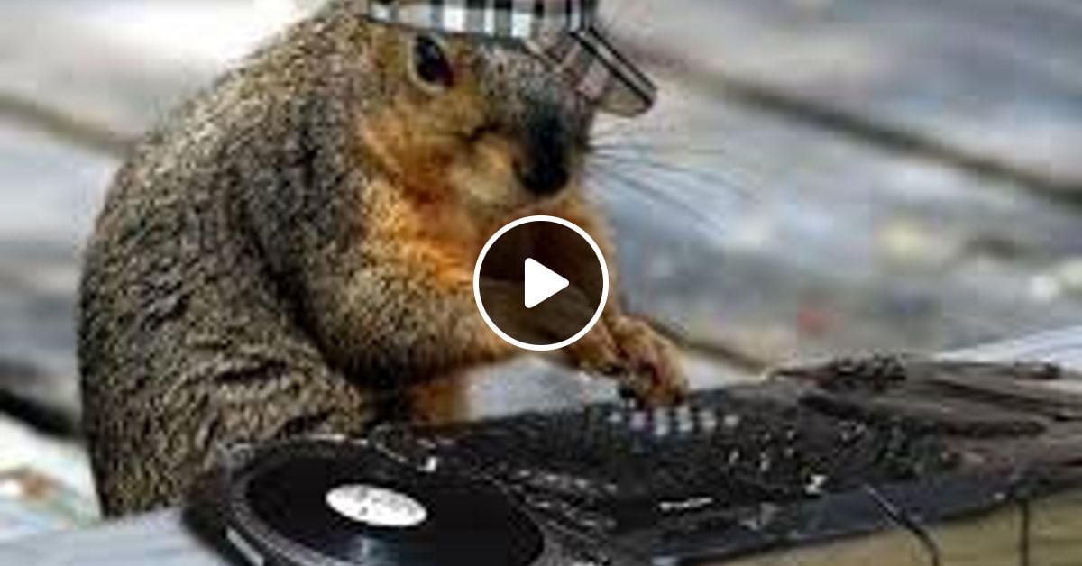 DJ Squirrel in the Mix - No2 by Nick Davies | Mixcloud