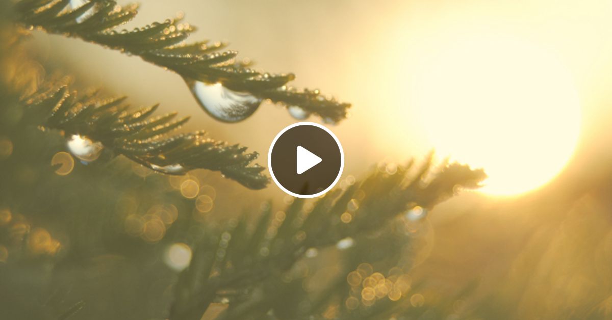 Sunny Daze | DJ Mix | Chilled Deep House by Dream Wisely | Mixcloud