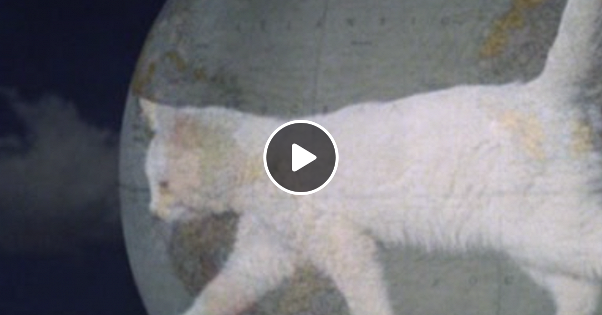 The Windmills of Your Mind w/ Taylor Rowley - 14th May 2025 by Mixcloud ...