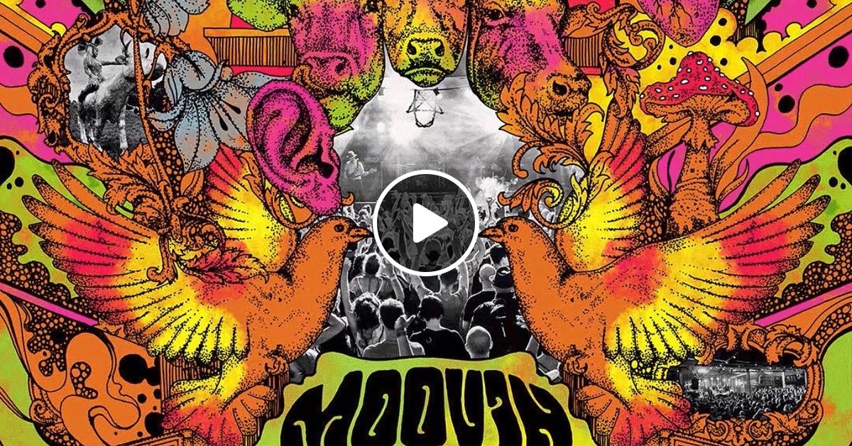 Moovin Festival "Mini Moo Stage Set" (27th August 2022). by DJ Law ...