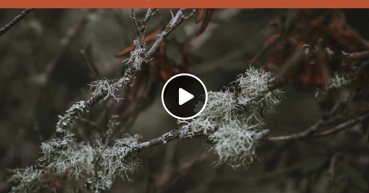 Serial Killers - Part 3 | Pastor Jim Dinger | Pathway Community Church ...