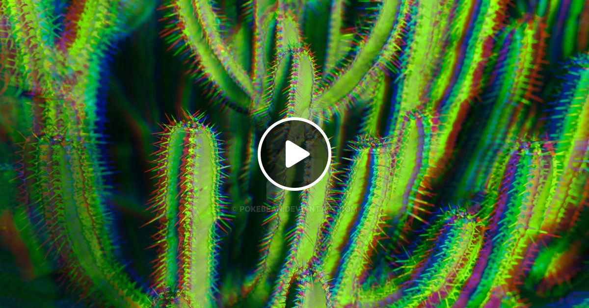 Natural Fractals - Cactus Teachings by Rabid_Acid_Badger | Mixcloud