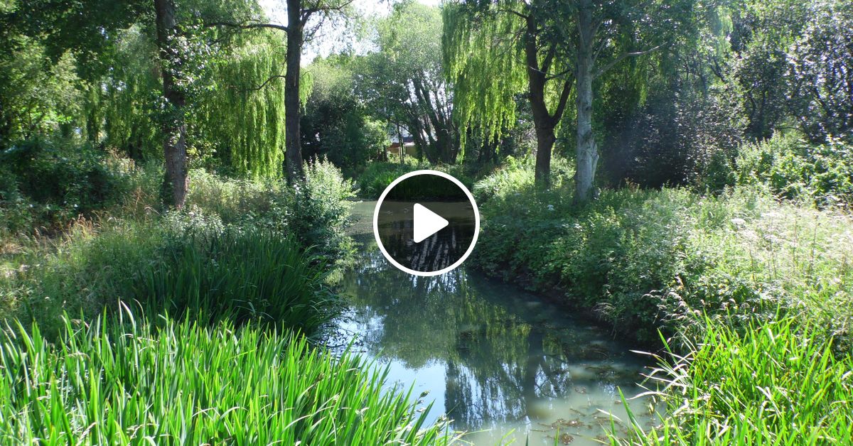 In Yer Ears #155 Taking You To A Sunny Place by In Yer Ears | Mixcloud
