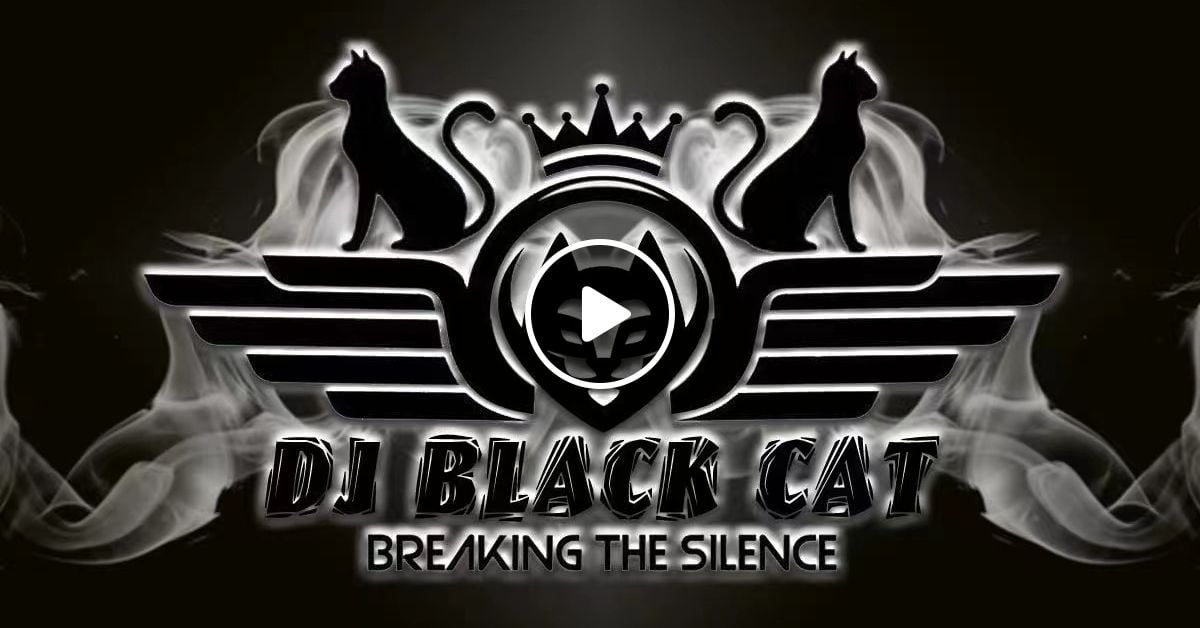 『2024 PRIVATE For DJ BLACKCAT 』佛祖Handsup X its my life X ONE TWO ONE TWO 玛田鼓 VINA POWER by DJ ...