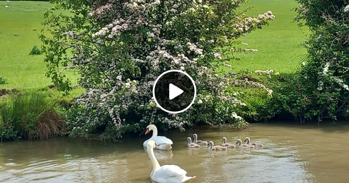 June Reflections 2023. Gretchen Peters, Eric Bibb, Clifford T. Ward ...