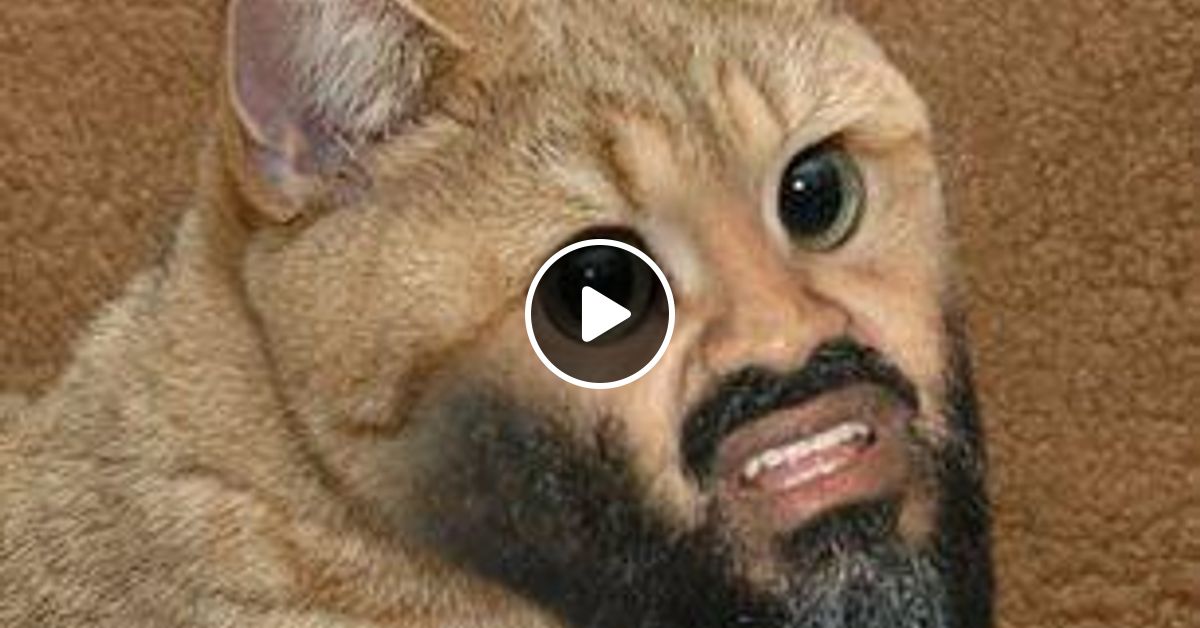 Perito Nu-Disco Dance 03 by Perito | Mixcloud
