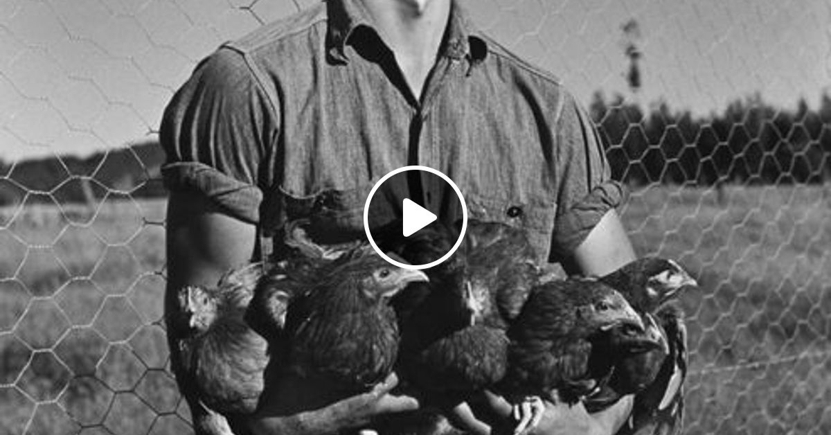 A Notch In My Pistol-Food & The Farm by Chelsea Carnes | Mixcloud