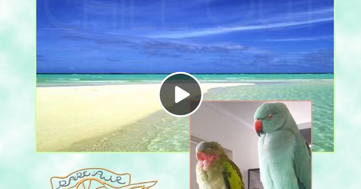 DJ Lady C – Rare Air (11.26.23) by dublab | Mixcloud