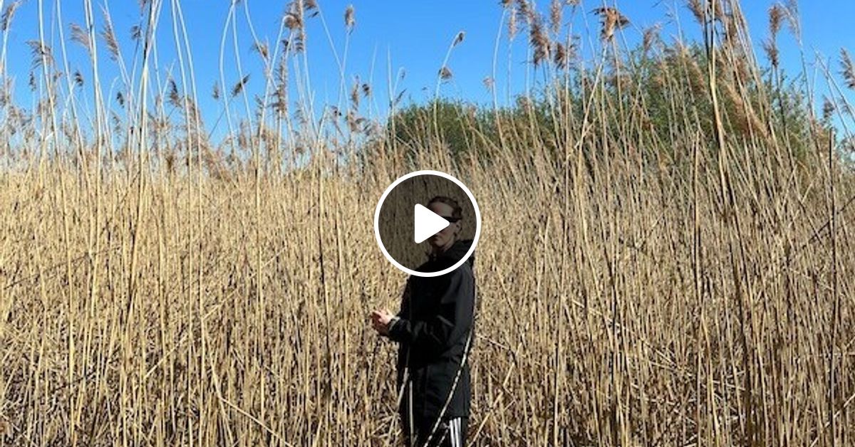 Terrene - Kim Kenis - 1 June 2022 by Refuge Worldwide | Mixcloud