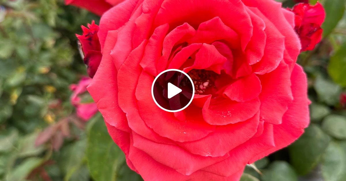 Nerd Show on SomaFM - 06 June, 2024 by NerdShow | Mixcloud