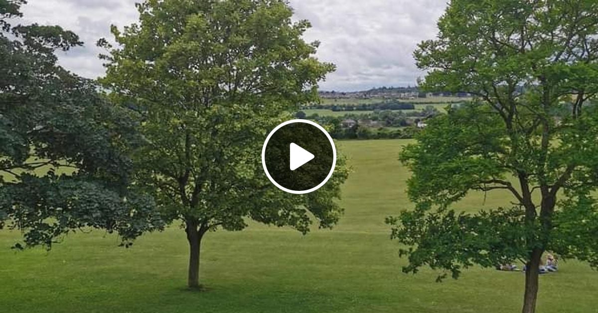 Forest Ramblings Episode 150 Thoughts For 2025 by Roger Dudman | Mixcloud