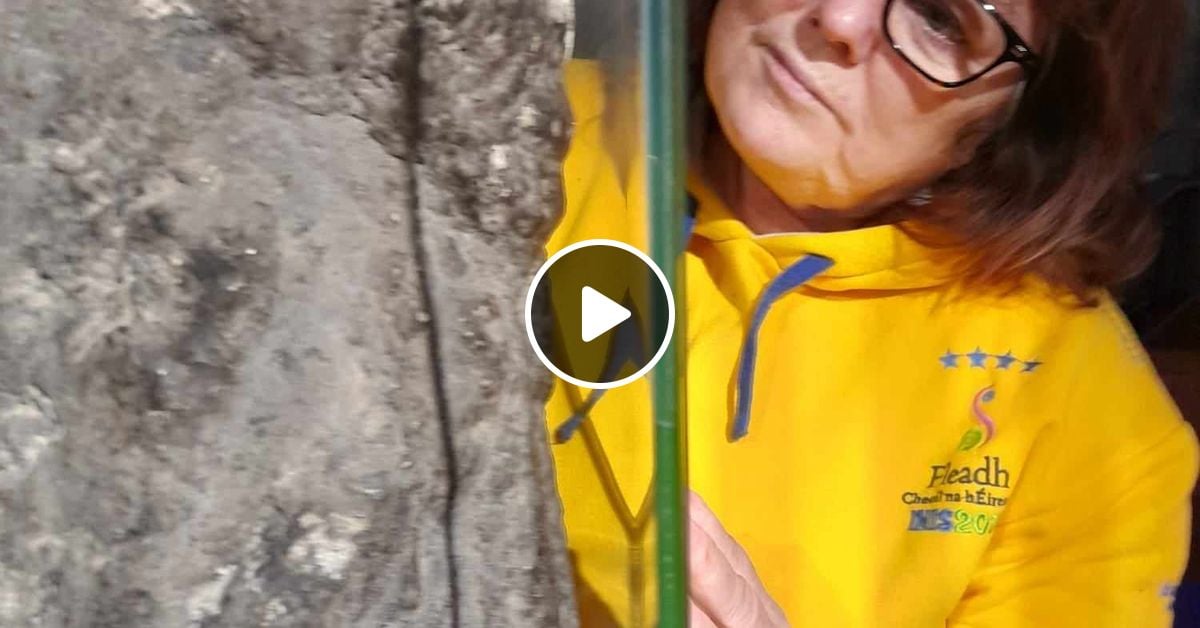 Exposing Sheela: Exploring Ireland's Ancient Sheela na Gig Carvings by ...