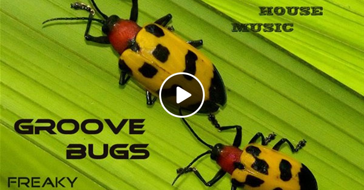 Kinky Groove /with Groove Bugs (special guest Seraphim and Camo from CHFM) by Groove Bugs | Mixcloud