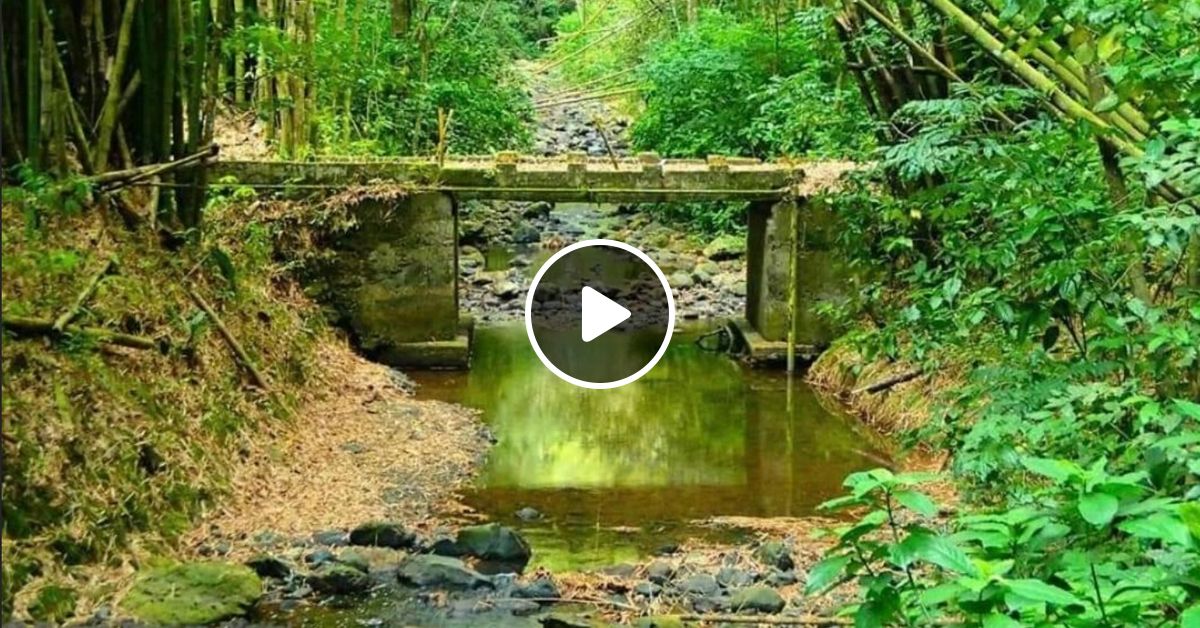 Oasis Cultural - DJ Javier - Mayo 24, 2023 - Nueva Trova, Trova Jibara ...