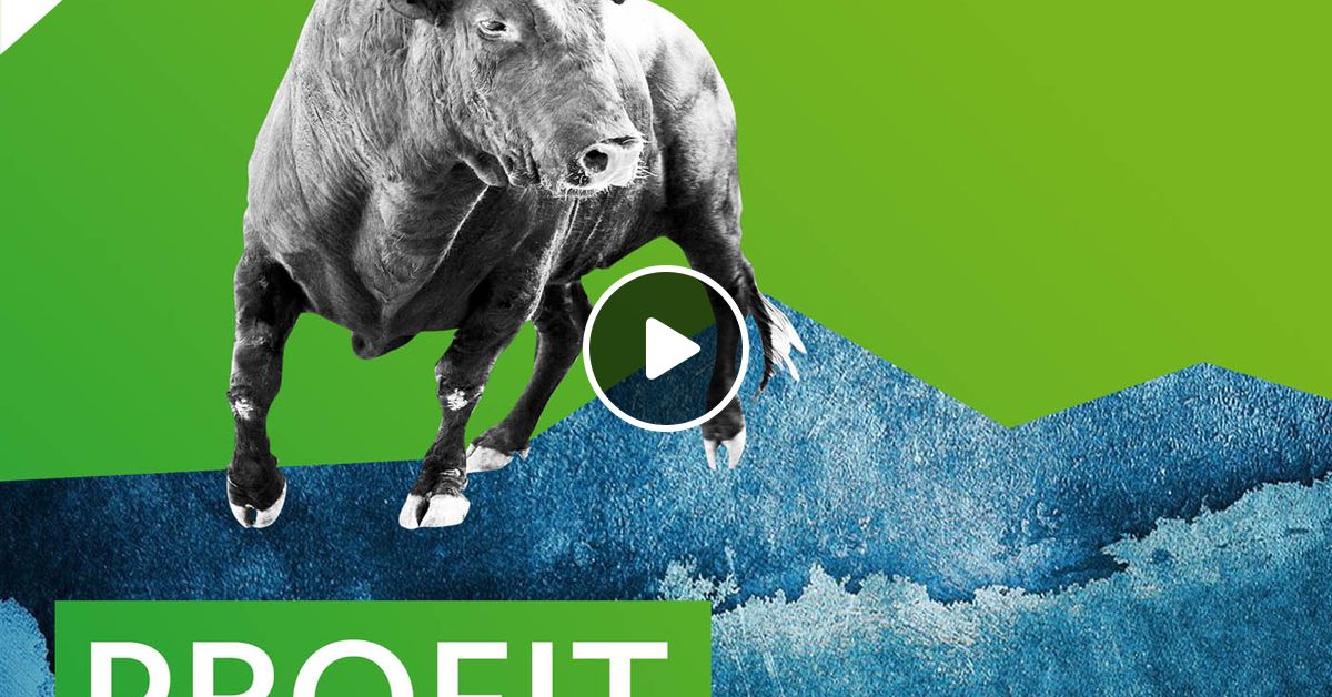 Gasumlage - Gasspeicher-Füllstand - Vaillant - Rüstungsschau 15.08.2022 ...