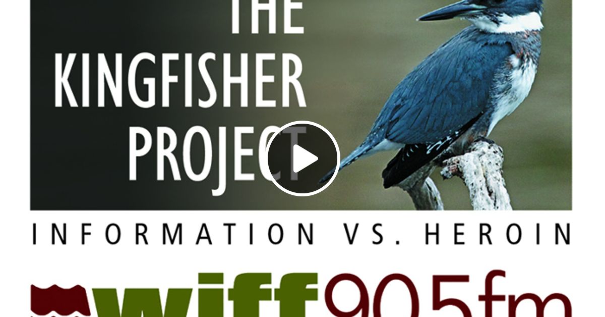 Kingfisher Project Episode 1, It's Not Who You Think It Is, aired ...
