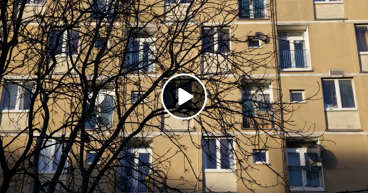 London Habitat Campaigns Re-examined - Mirca Morera and Sue Penny ...