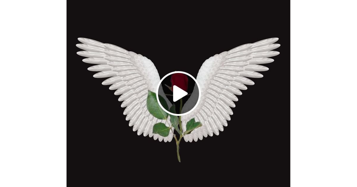 DJ TERRY SHERMAN TRIBUTE by DJ Michael Trillo | Mixcloud