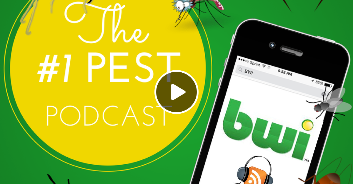 Bed Bugs with Paul Bello-Part 2 by BWI Pest Podcast | Mixcloud