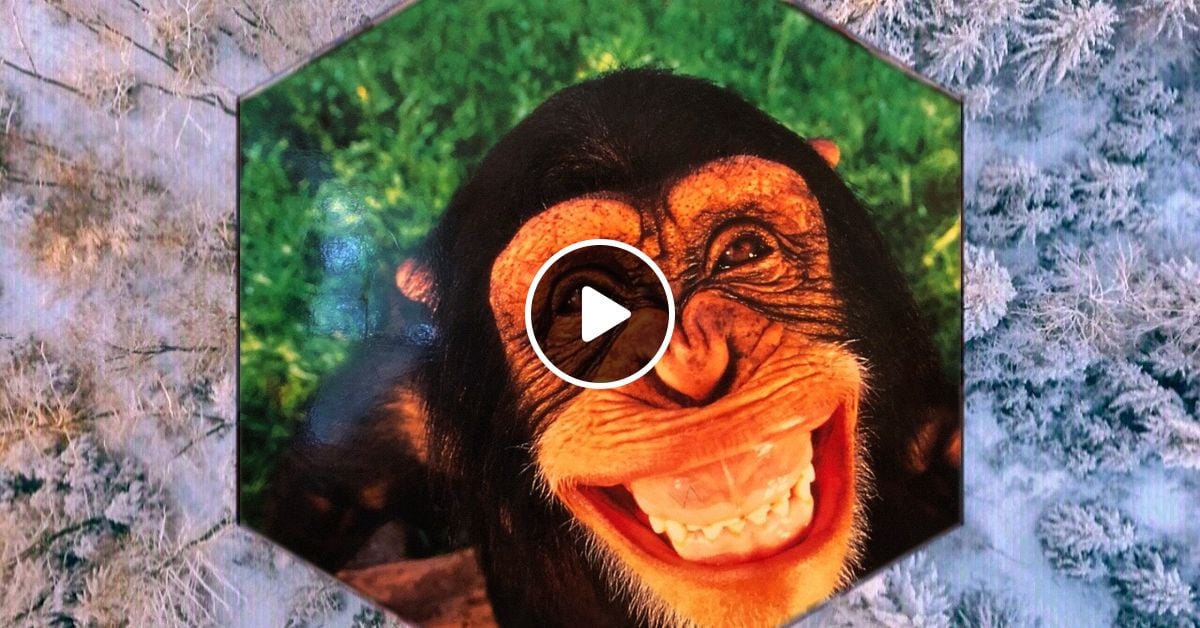 Power Pop Portal # 12 Featured Artist: The Supernaturals Written, Produced, Hosted by Gargs ...